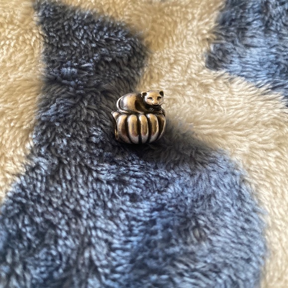 Pandora | Jewelry | Pandora Charm | Poshmark